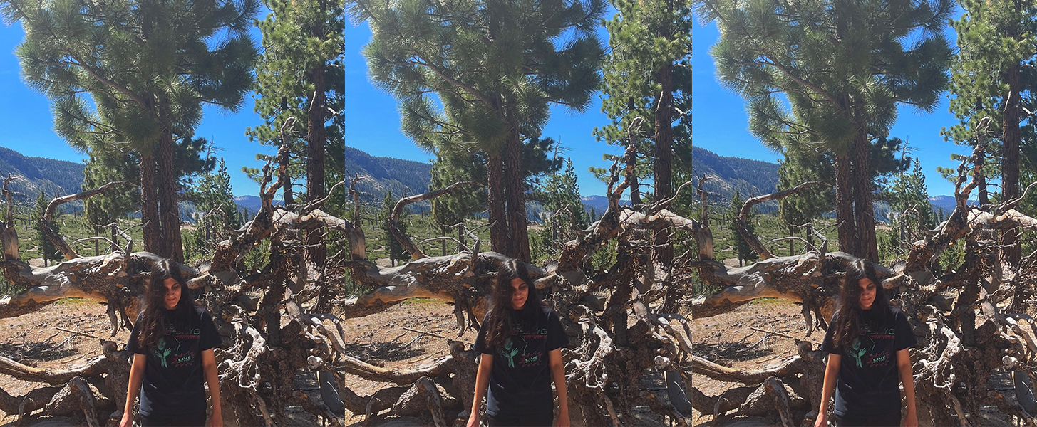 Boomkat Charts: Maral 2022