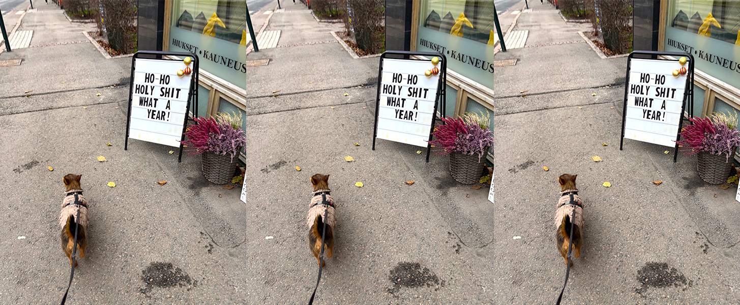 Boomkat Charts: Frozen Reeds 2024