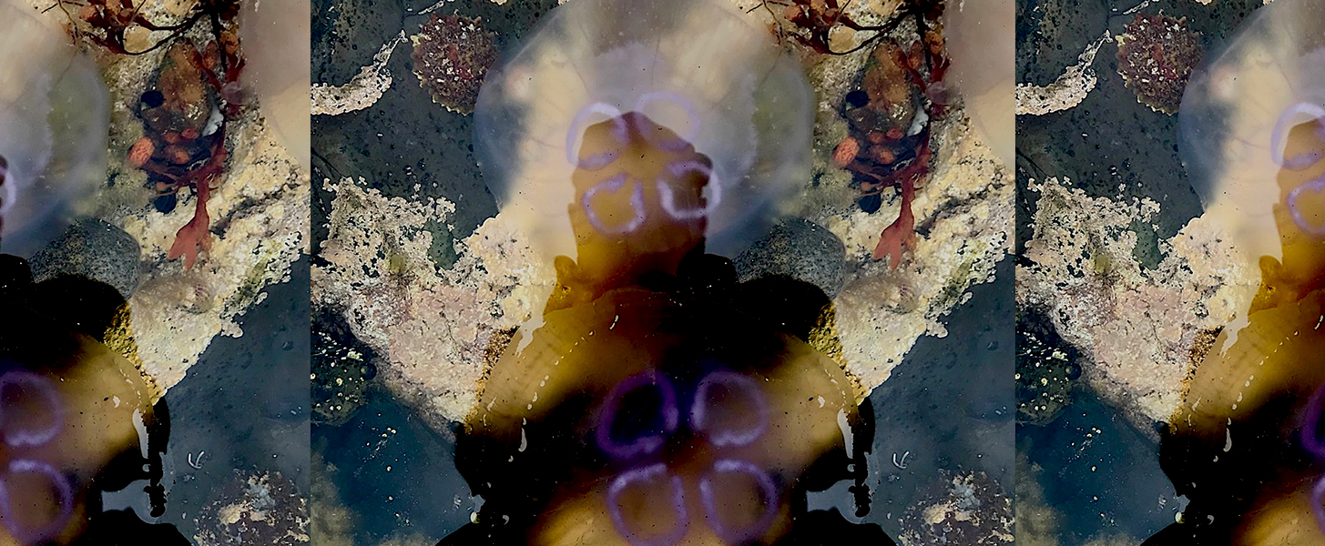 Boomkat Charts: SDEM 2024