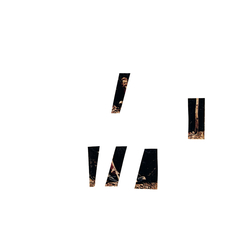 Dary John Mizelle - Music of Dary John Mizelle - Boomkat