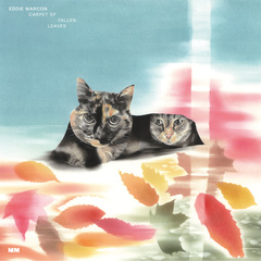 EDDIE MARCON - Carpet Of Fallen Leaves - Boomkat