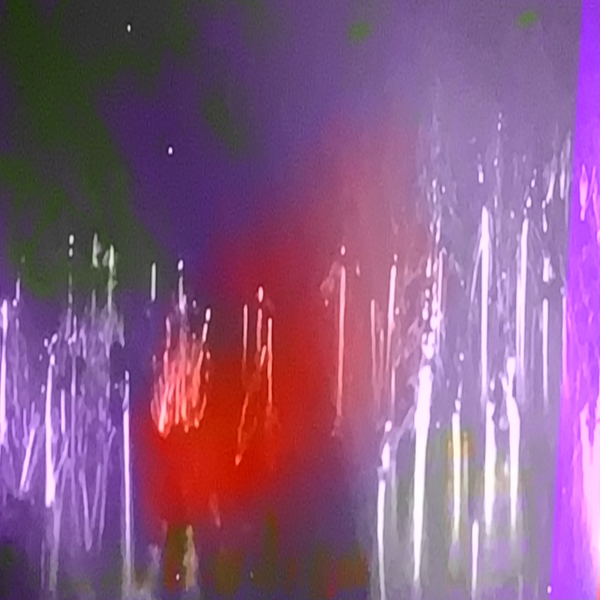 SURF GANG, POLO PERKS