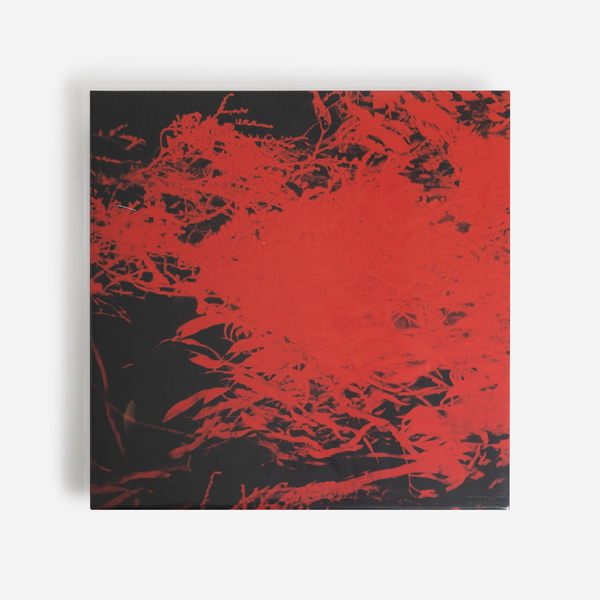 Anthony Naples - In Studio Magic - Boomkat