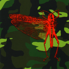 THE LOCUST - Well ill Be A Monkeys Uncle - Boomkat