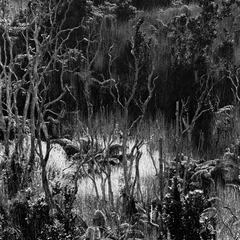 Levantis - Romantic Psychology 1 - Boomkat