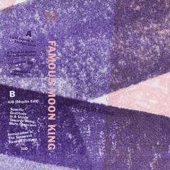 Famous Moon King - Light Travels in Straight Lines - Boomkat