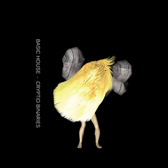 BASIC HOUSE - Cryptid Binaries - Boomkat