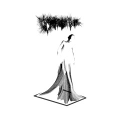 Cryptae - Vestigial - Boomkat