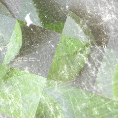 Pausal - Forms - Boomkat