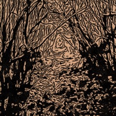 Shinatama - Aokigahara - Boomkat