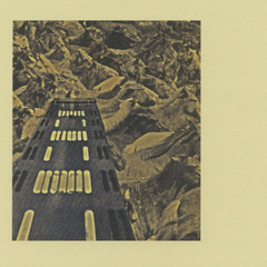 Ryan Martin - Wild Spaces - Boomkat