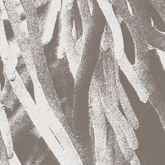 JWPaton - Structures - Boomkat