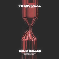 DOM & ROLAND - More Controversy / Waiting For You - Boomkat