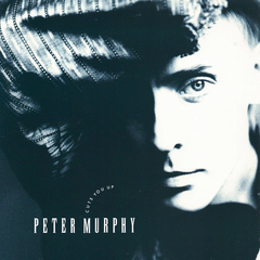 Peter Murphy - Cuts You Up - Boomkat