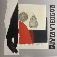 Radiolarians - Radiolarians - Boomkat