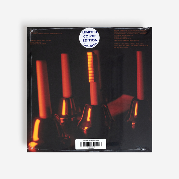 Mary Lattimore and Walt McClements - Rain on the Road - Boomkat