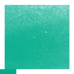 David Allred - The Beautiful World - Boomkat