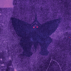 Madronas - Erogenous Biome - Boomkat