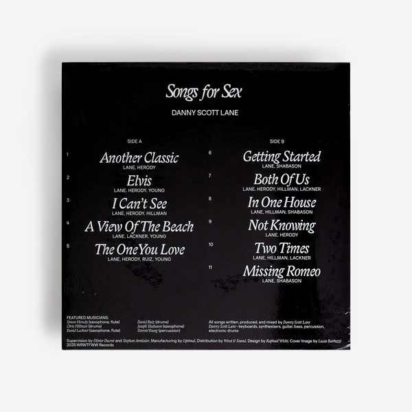 Danny Scott Lane - Songs For Sex - Boomkat