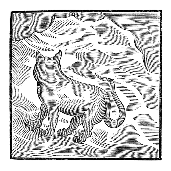 Valentina Magaletti & YPY - Kansai Bruises - Boomkat