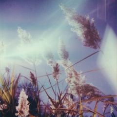 Benoît Pioulard - Stanza IV - Boomkat