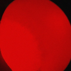 Kit Grill - violet / heat - Boomkat